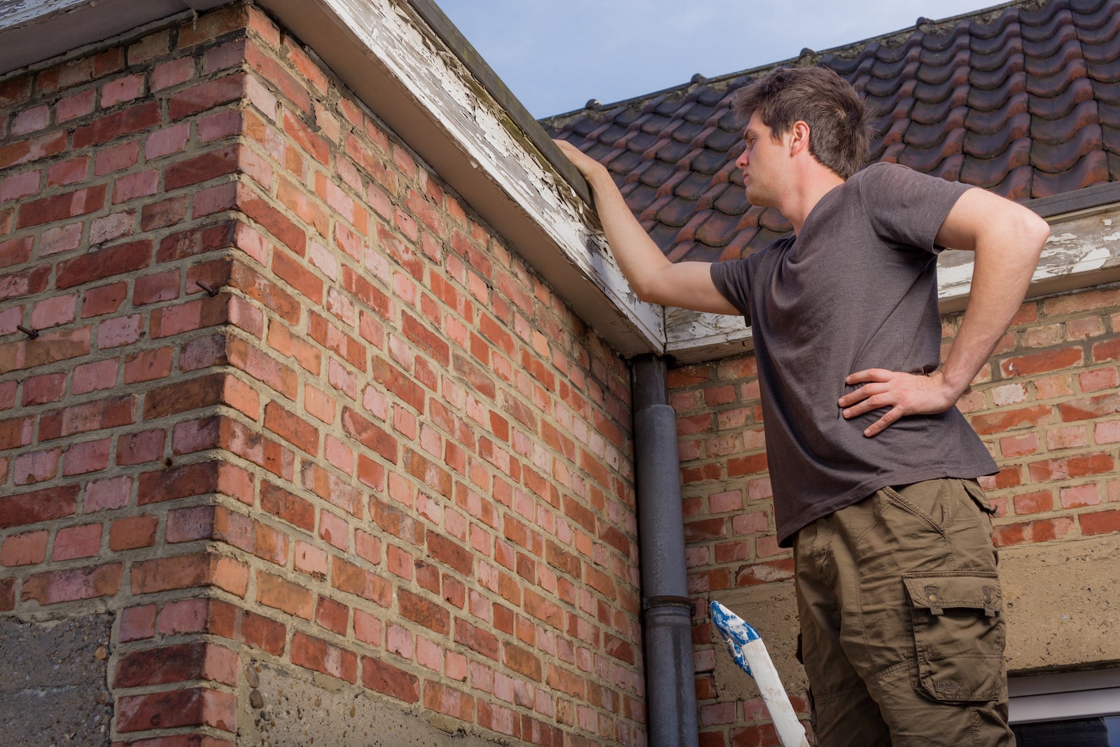 What to Do if You Need a Roof Survey - Novello Surveyors Ltd